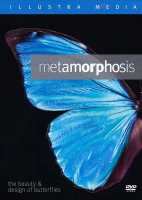 Metamorphosis: The Beauty & Design of Butterflies, DVD – Evermore Books